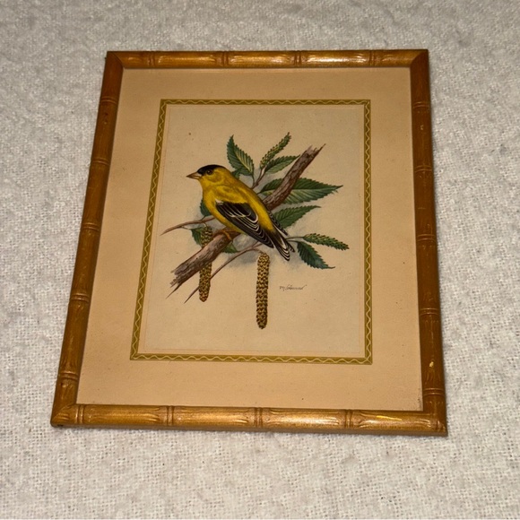Art | Vintage 6s Bird Lithograph Signed By Artist Ph Gonner | Poshmark